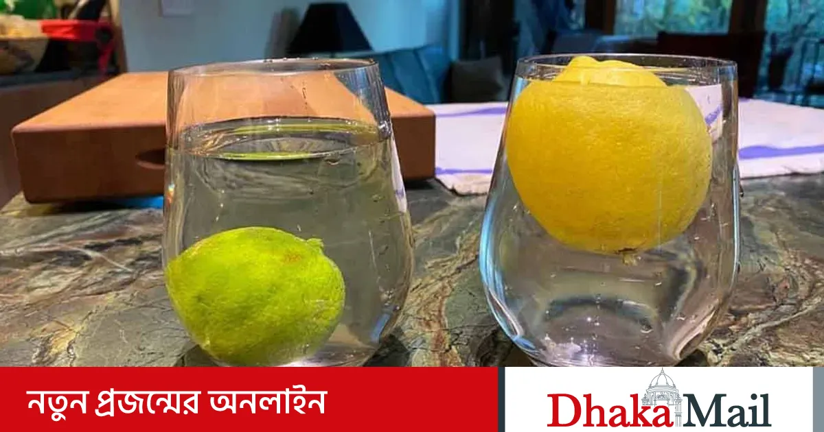 বাতাবি লেবু পানিতে ভাসে, কাগজি লেবু ডুবে যায়