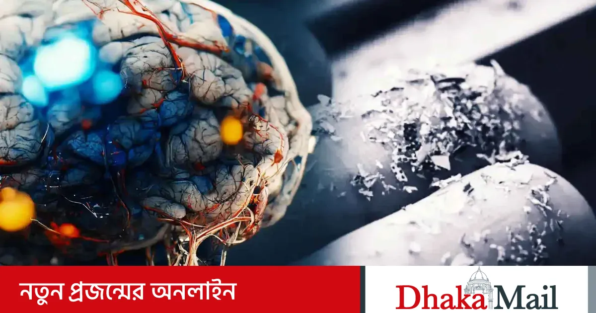 মানব মস্তিষ্কে মিলছে প্লাস্টিকের ক্ষুদ্রাতিক্ষুদ্র কণা!