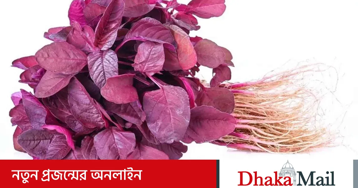 লাল শাকের রঙ লাল হয় কেন?