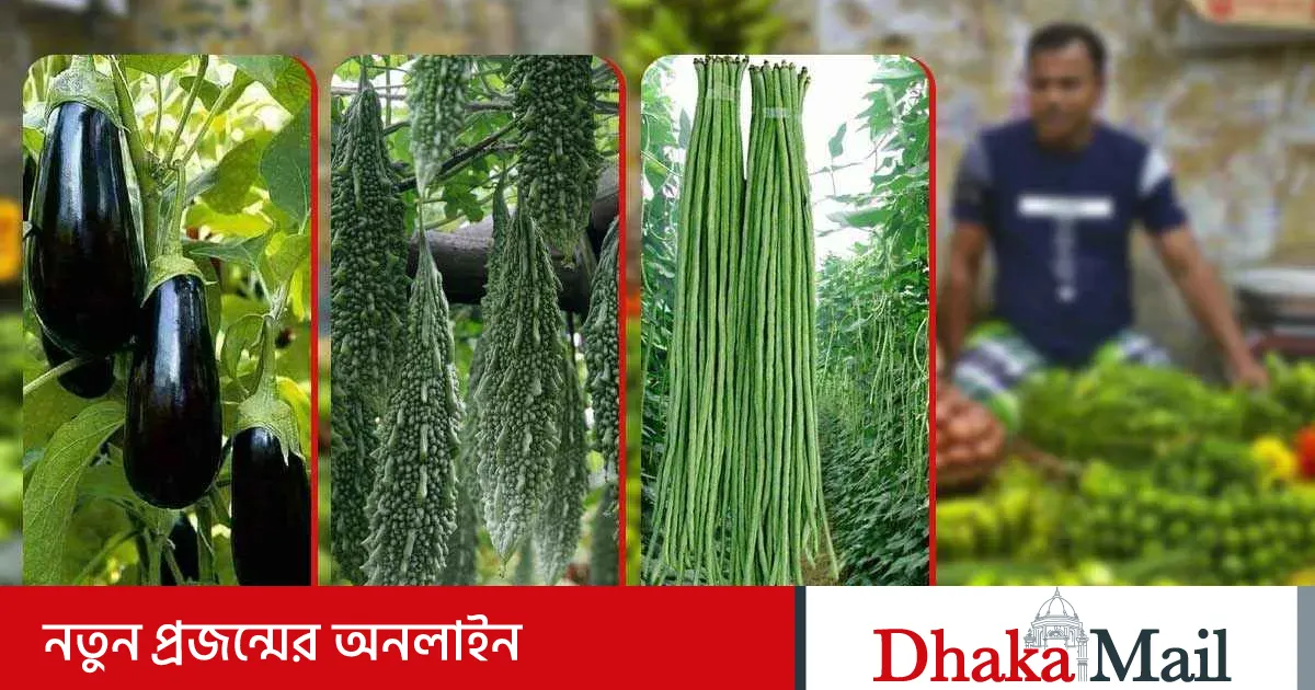 শতক ছাড়াল বেগুন, করলা ও বরবটি