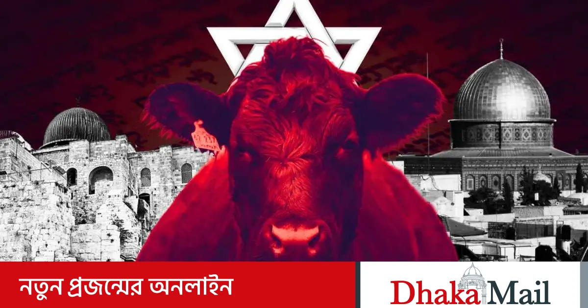 ইহুদিদের লাল গরুর রহস্য, ধর্মগ্রন্থে যা আছে