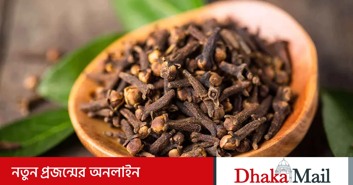 খাওয়া শেষে একটি লবঙ্গ চিবিয়ে খেলে কী হয়?