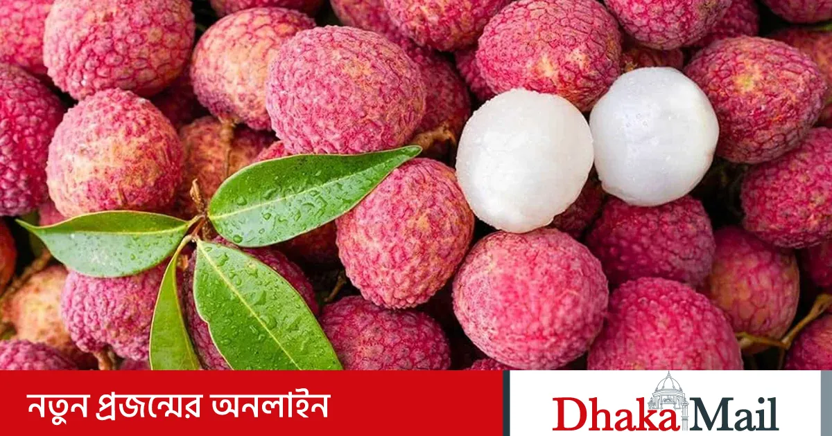 লিচু খেলে হতে পারে বিষক্রিয়া-মৃত্যুও! যেসব বিষয় খেয়াল রাখবেন