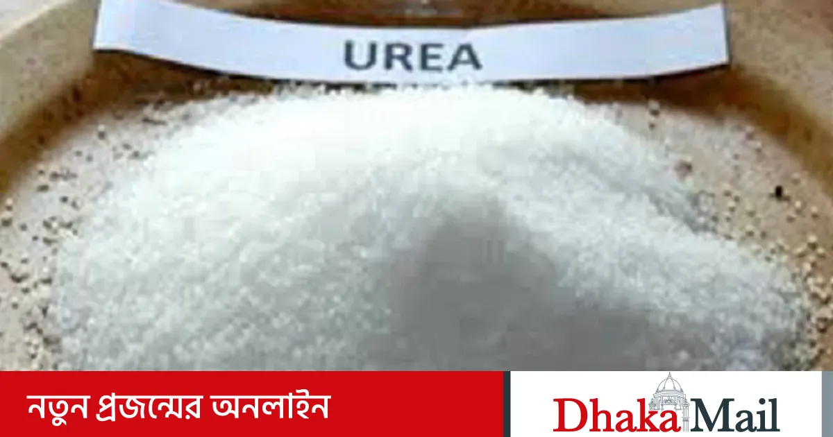 ‘জিম্মি হয়ে গেছি সার সিন্ডিকেটের হাতে’